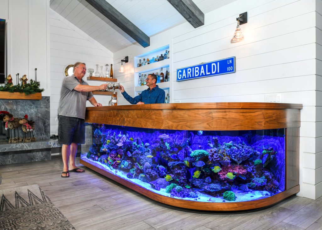 Aquarium Design & Installation Services | Age of Aquariums