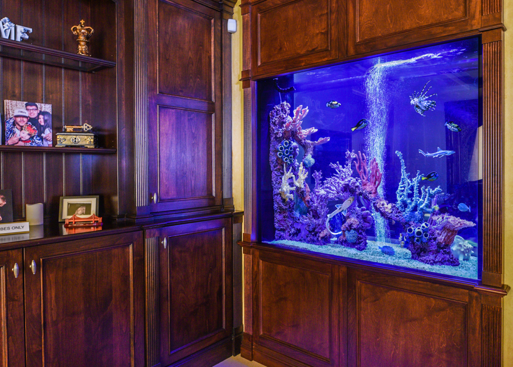 Custom Aquariums & Custom-Built Fish Tanks in LA County