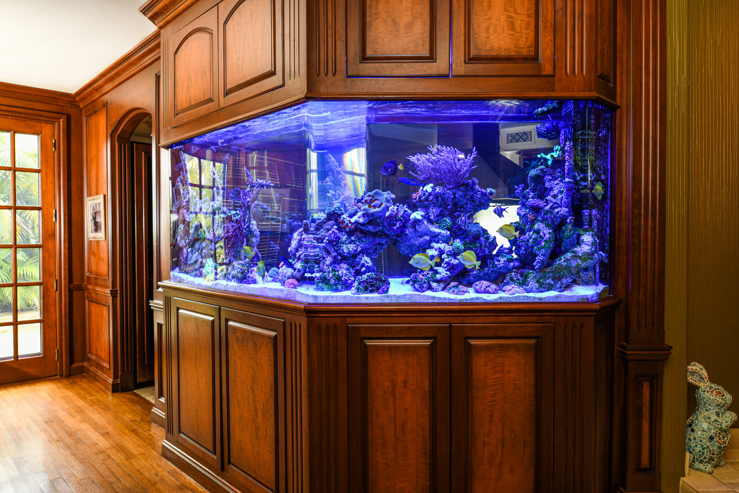 Custom Aquariums & Custom-Built Fish Tanks in LA County